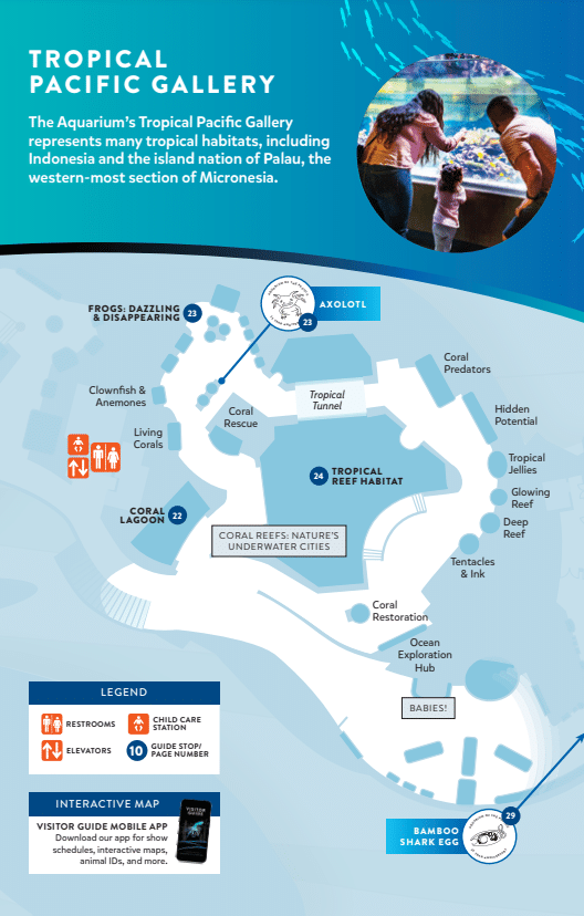 Aquarium of the Pacific Map and Brochure (2022 - 2023 ...