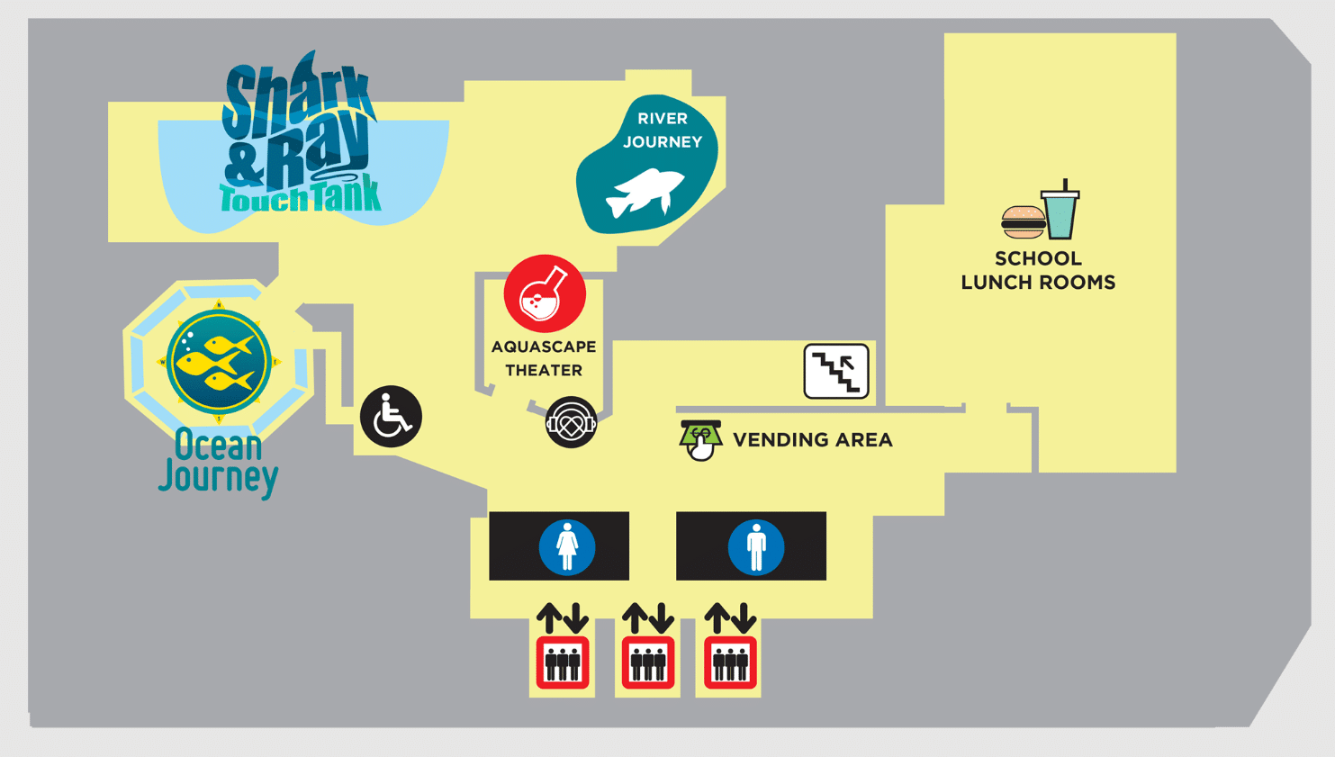 McWane Science Center Map and Brochure (2022 - 2023 ...