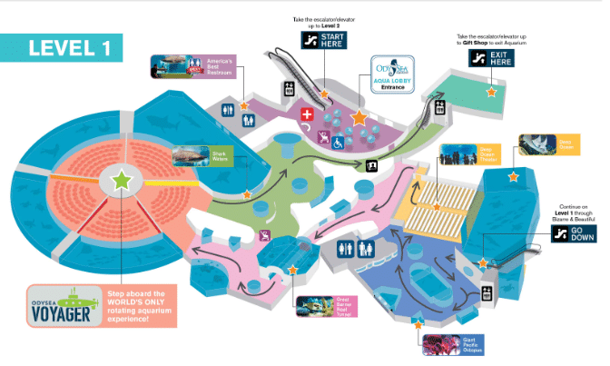 OdySea Aquarium Map and Brochure (2023) | ThemeParkBrochures.net