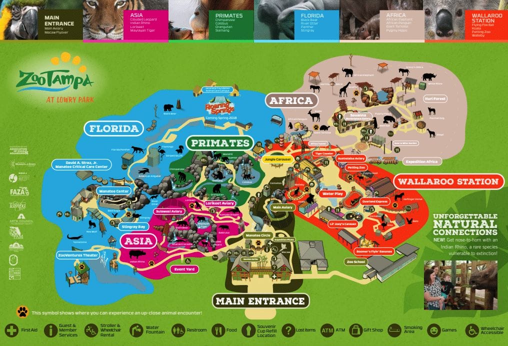 Tampa's Lowry Park Zoo Map and Brochure (2020 - 2023 ...