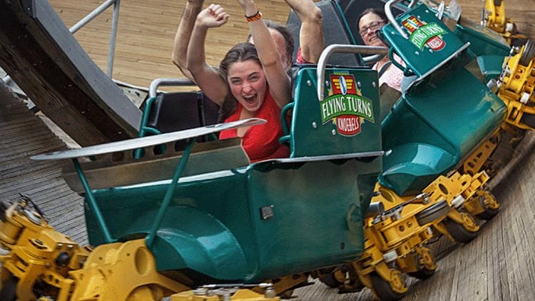 Top 25 Wooden Roller Coasters Ranked (2024) | ThemeParkBrochures.net