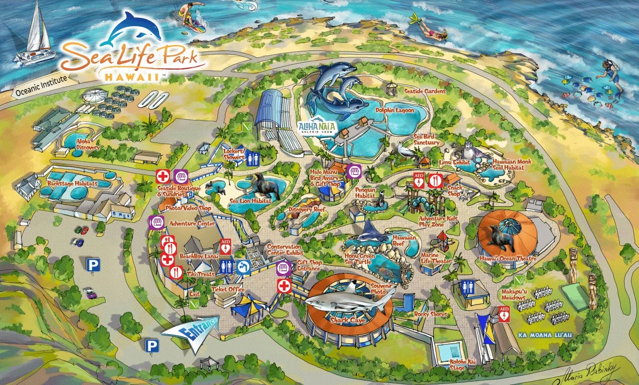 Sea Life Park Hawaii Map and Brochure (2022 - 2023 ...