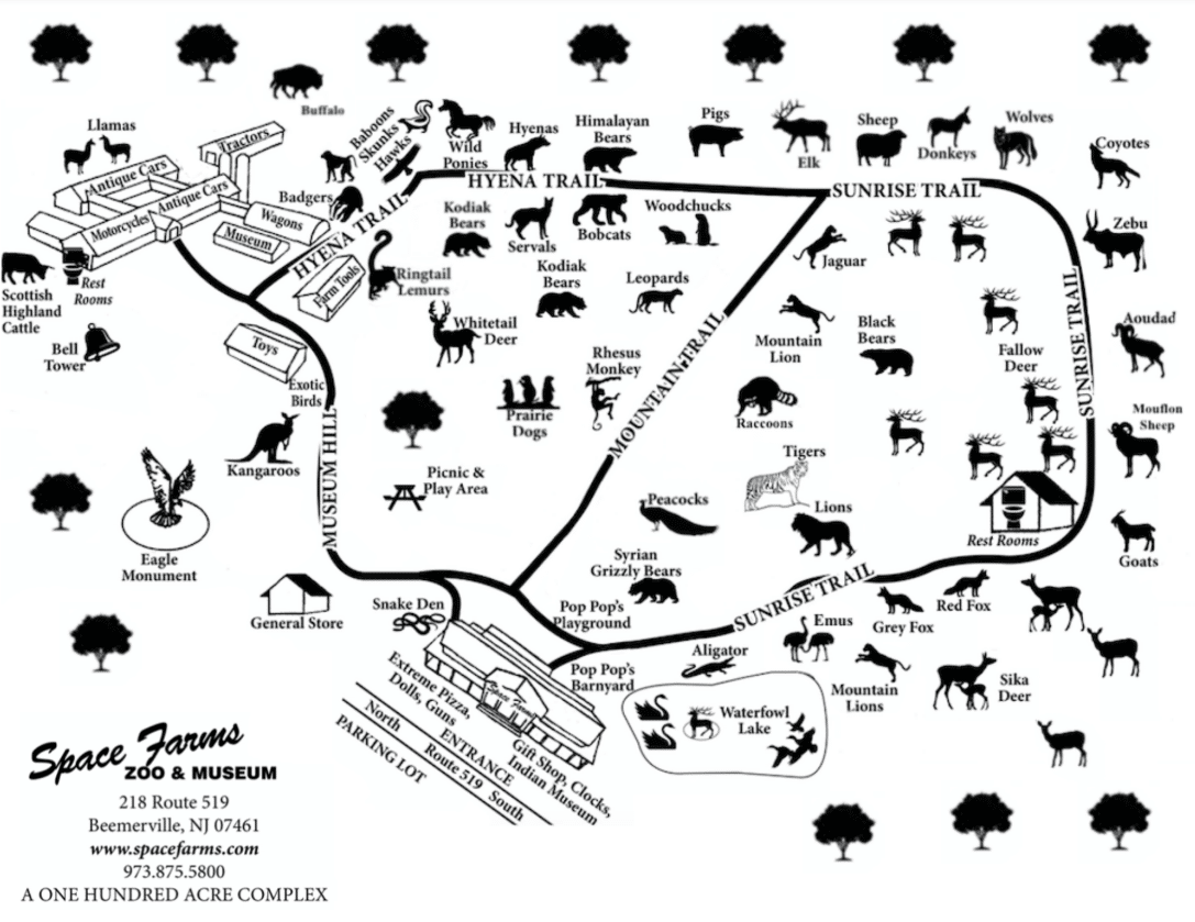 Space Farms Zoo Map and Brochure (2019 - 2021) | ThemeParkBrochures.net