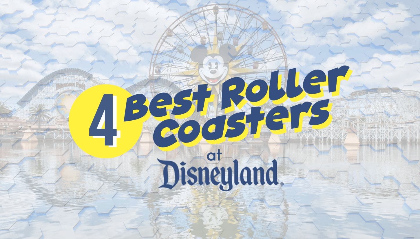 Roller Coasters | ThemeParkBrochures.net